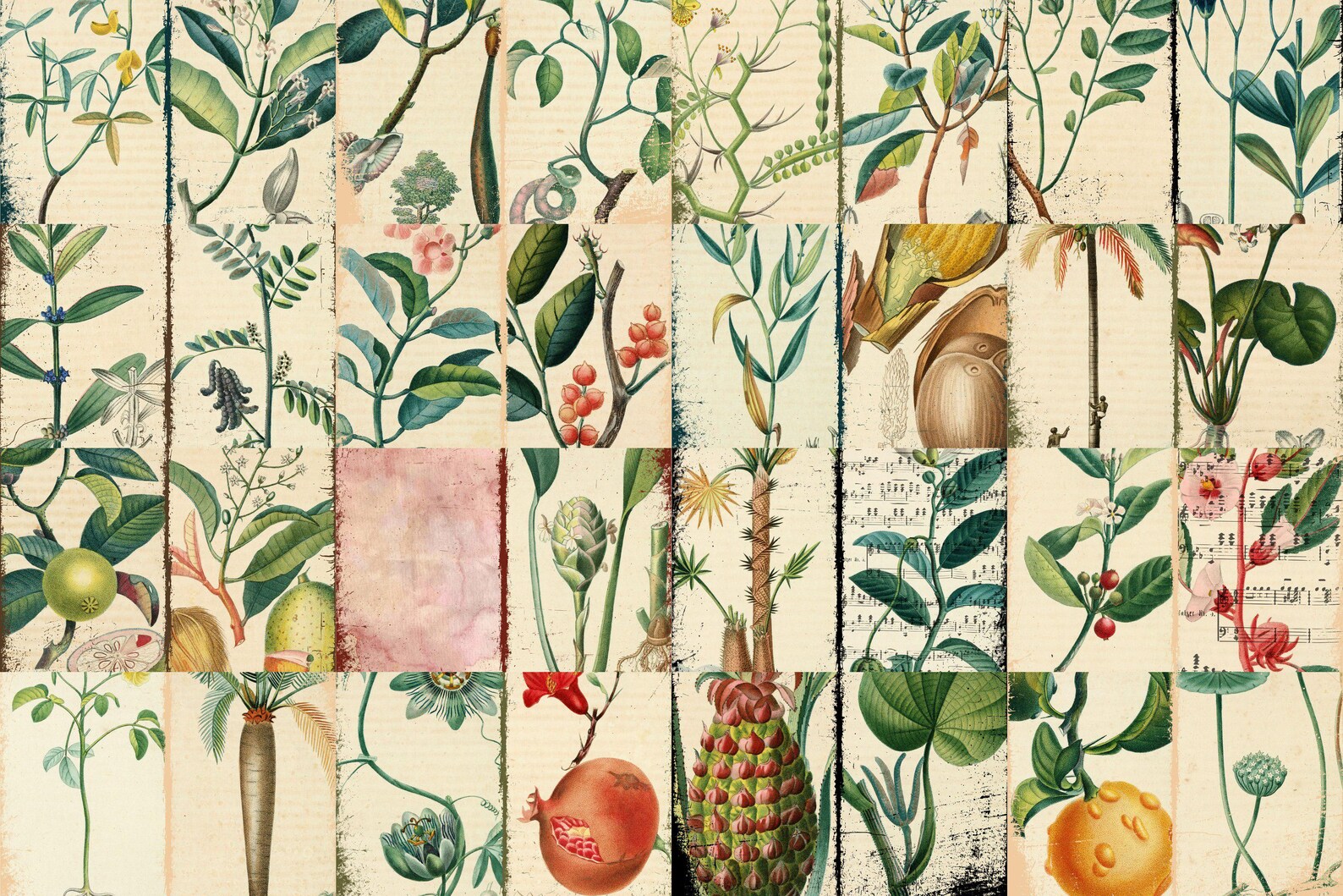 Botanical Junk Journal Kit - Botany Sheets - Printable Paper Pack ...