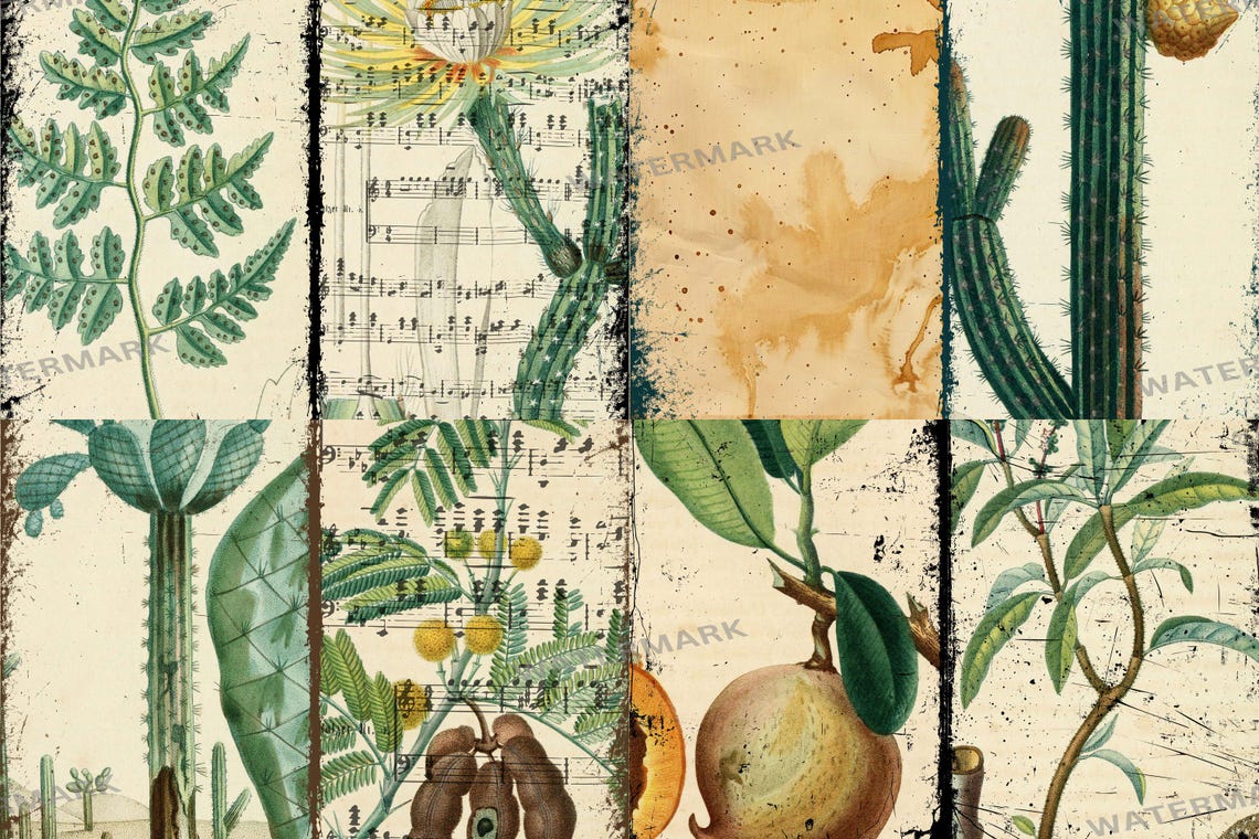Botanical Junk Journal Kit - Botany Sheets - Printable Paper Pack ...