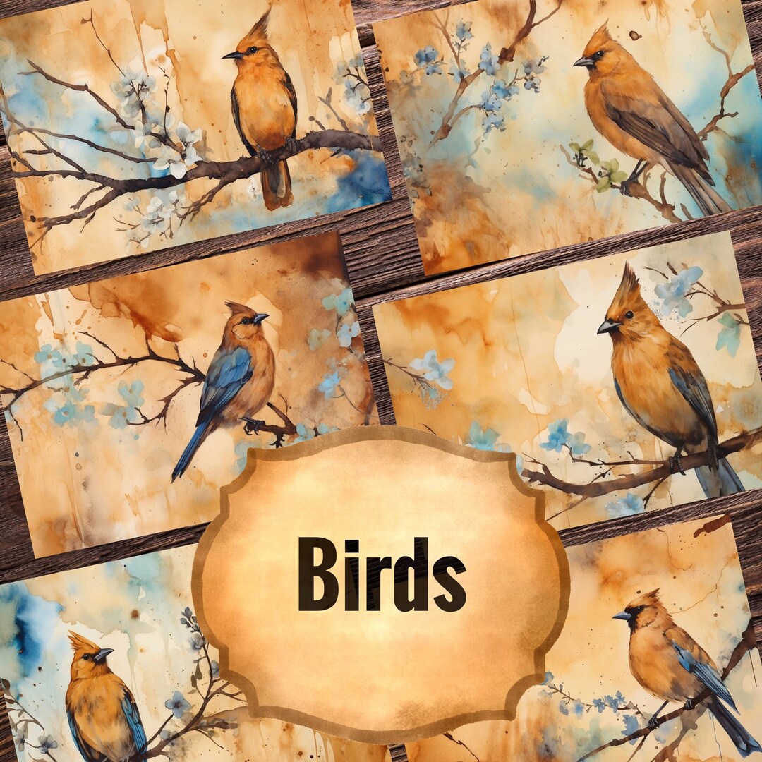 Birds Junk Journal Papers, Bird Ephemera, Birds Junk Journal Kit ...