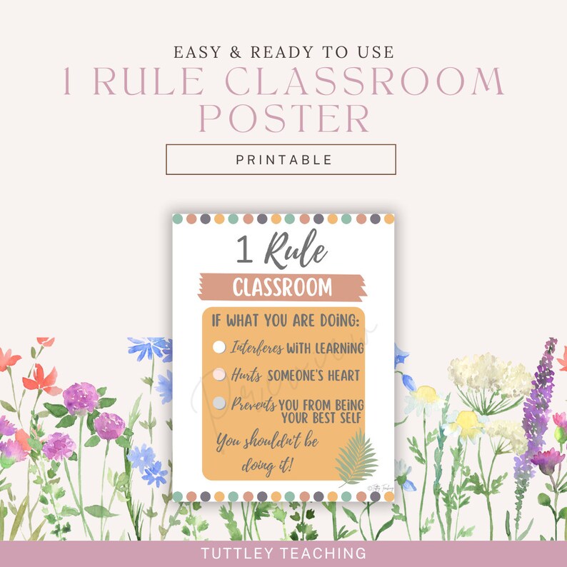 1 Rule Classroom Poster| Classroom Rules| Classroom Poster| Classroom ...