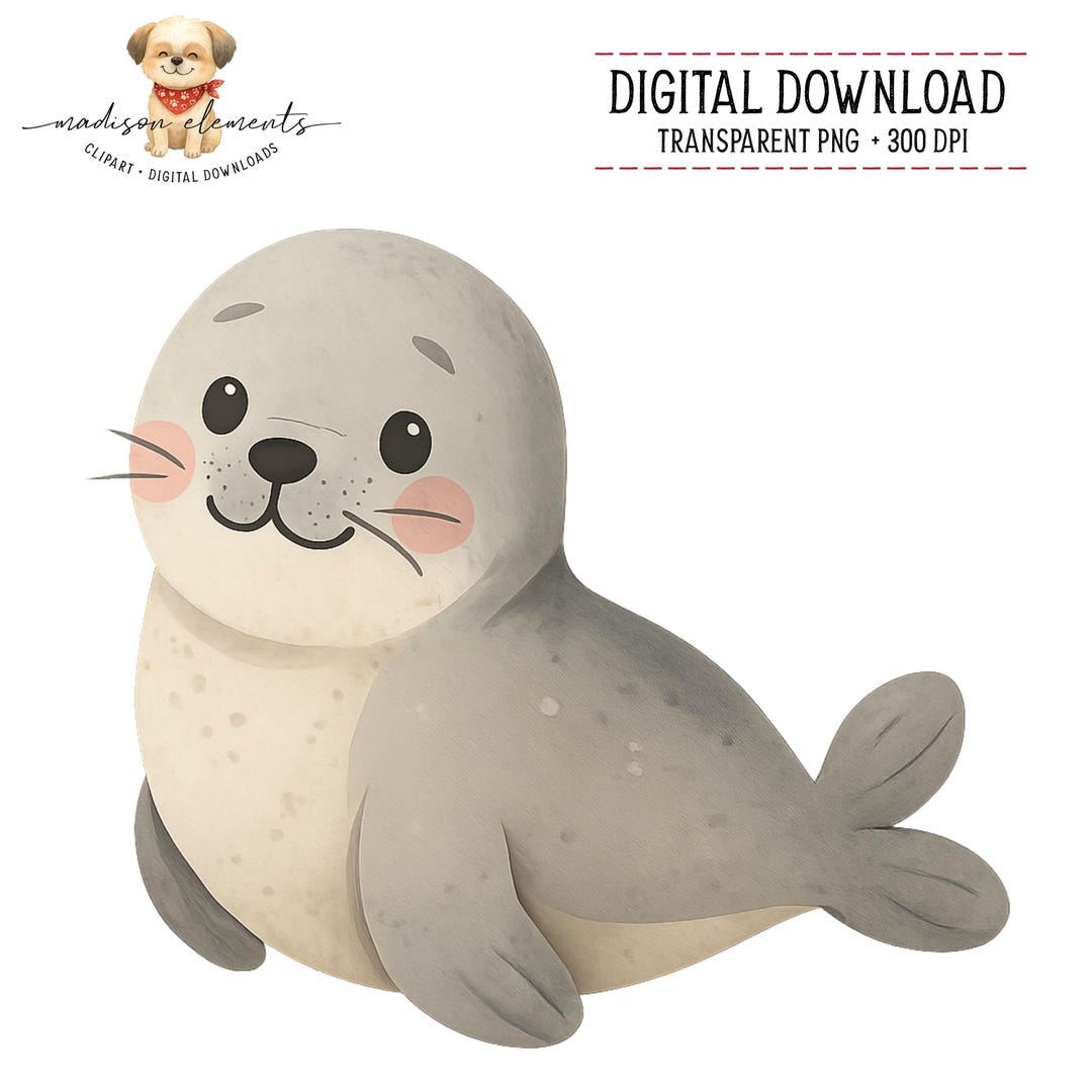 Cute Seal Clipart Digital, Adorable Sea Lion PNG Download, Animal ...