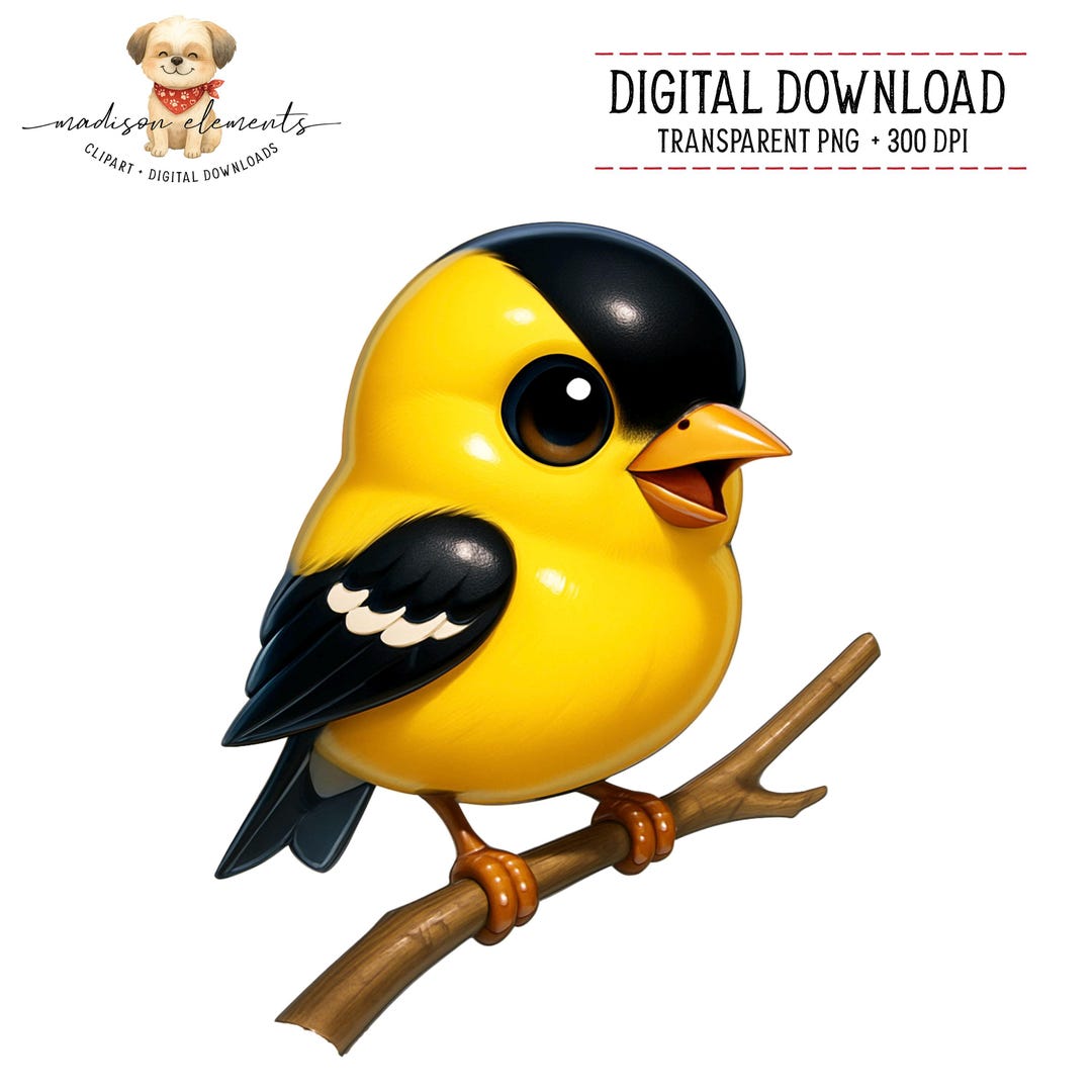 Goldfinch Digital PNG Download, Cute Yellow Bird Clip Art, Cartoon ...