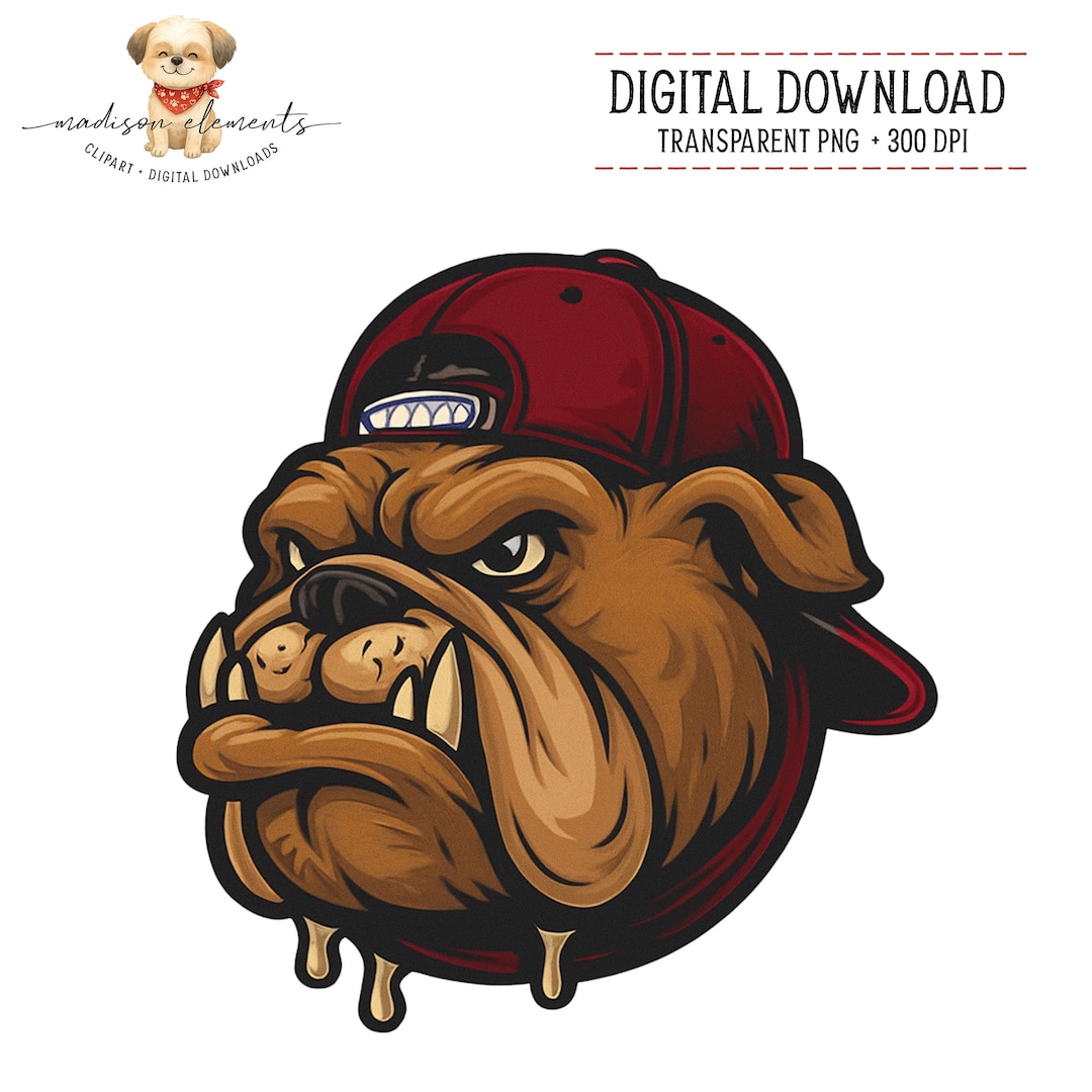 Bulldog Mascot PNG Digital Download, Bulldog With Backwards Cap ...