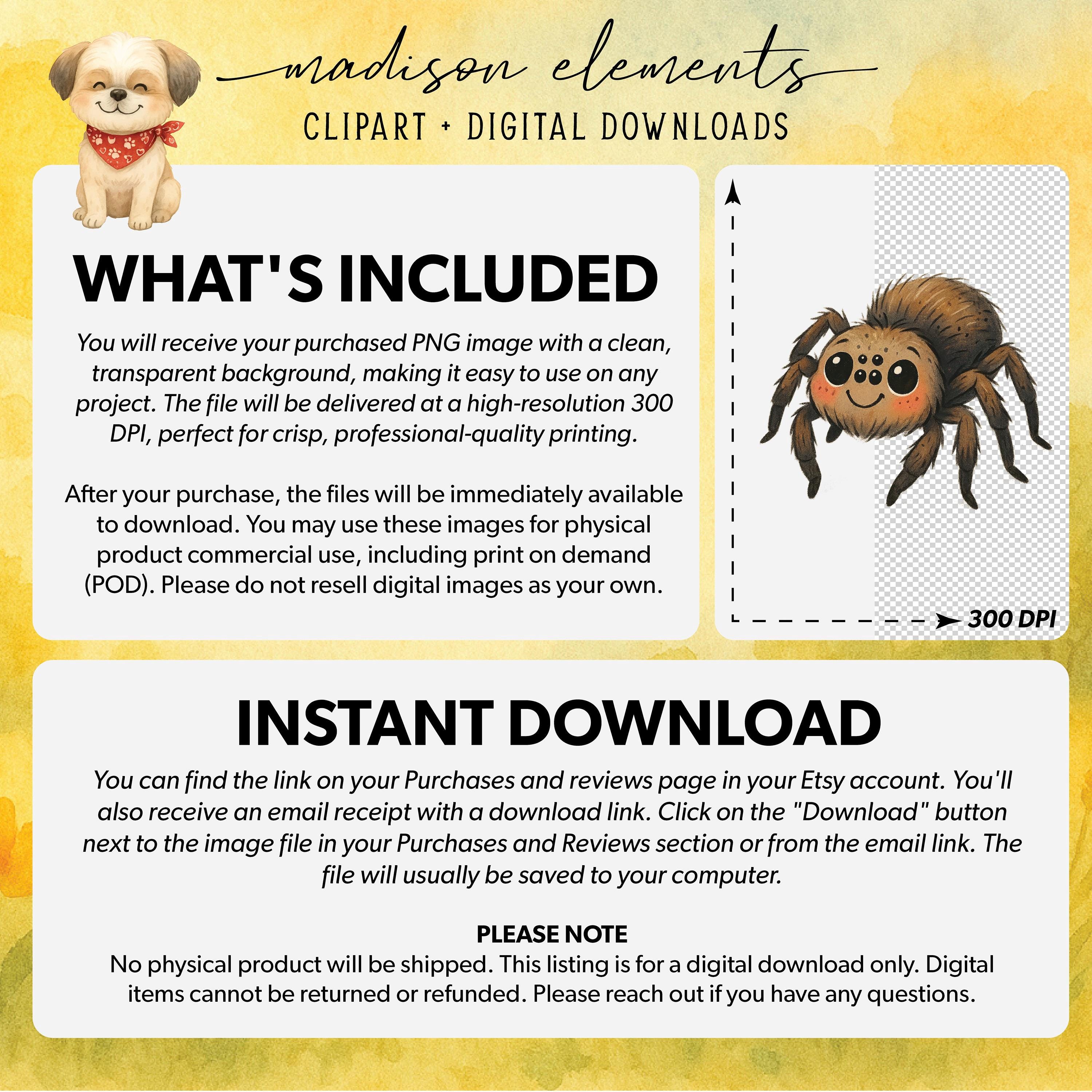 Cute Spider Digital PNG Download, Cartoon Spider, Jumping Spider Art ...