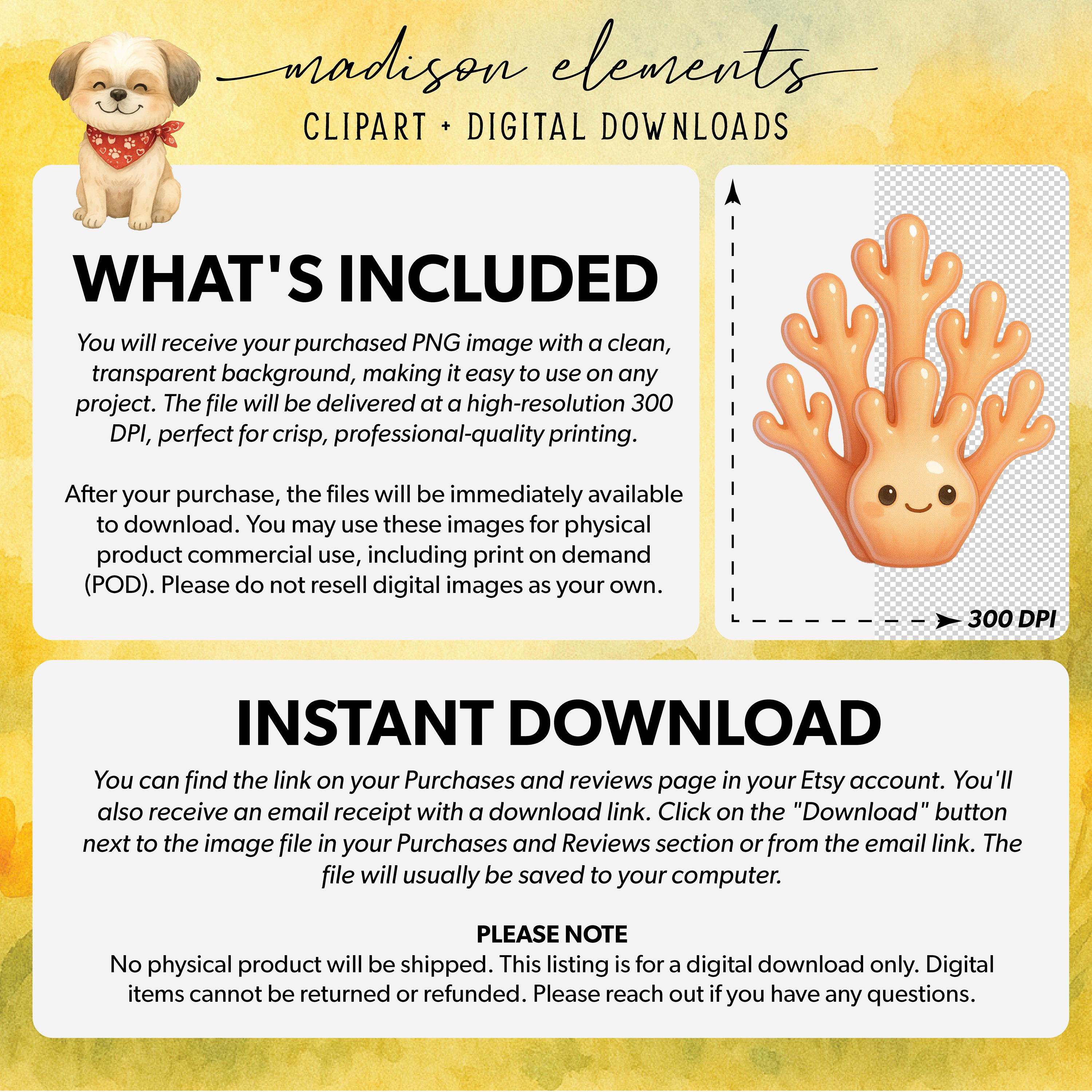 Cute Mushrooms Digital PNG Bundle, Kawaii Mushroom Graphics, Morel ...