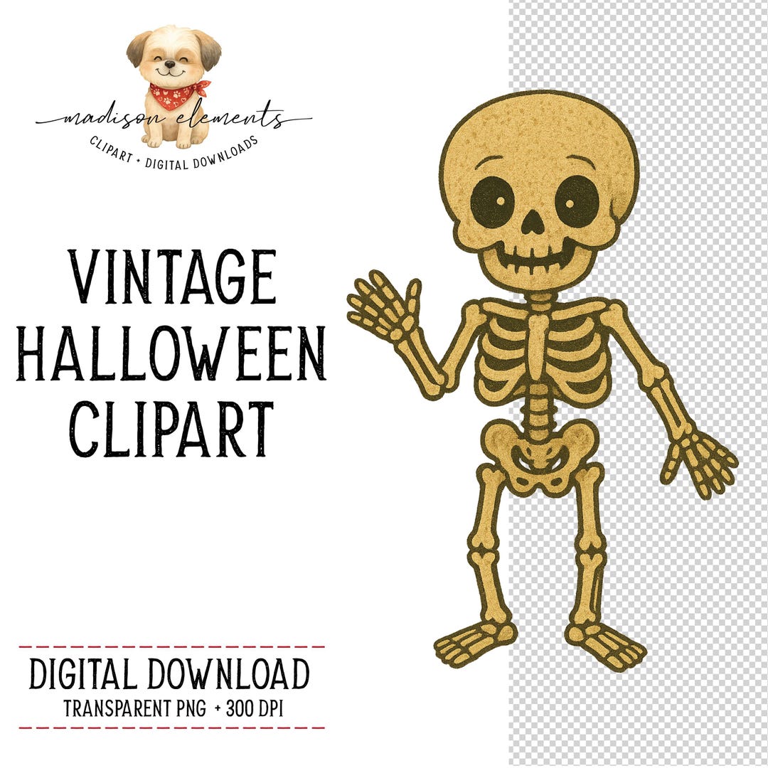 Cute Skeleton PNG, Halloween Digital Download, Friendly Skeleton ...