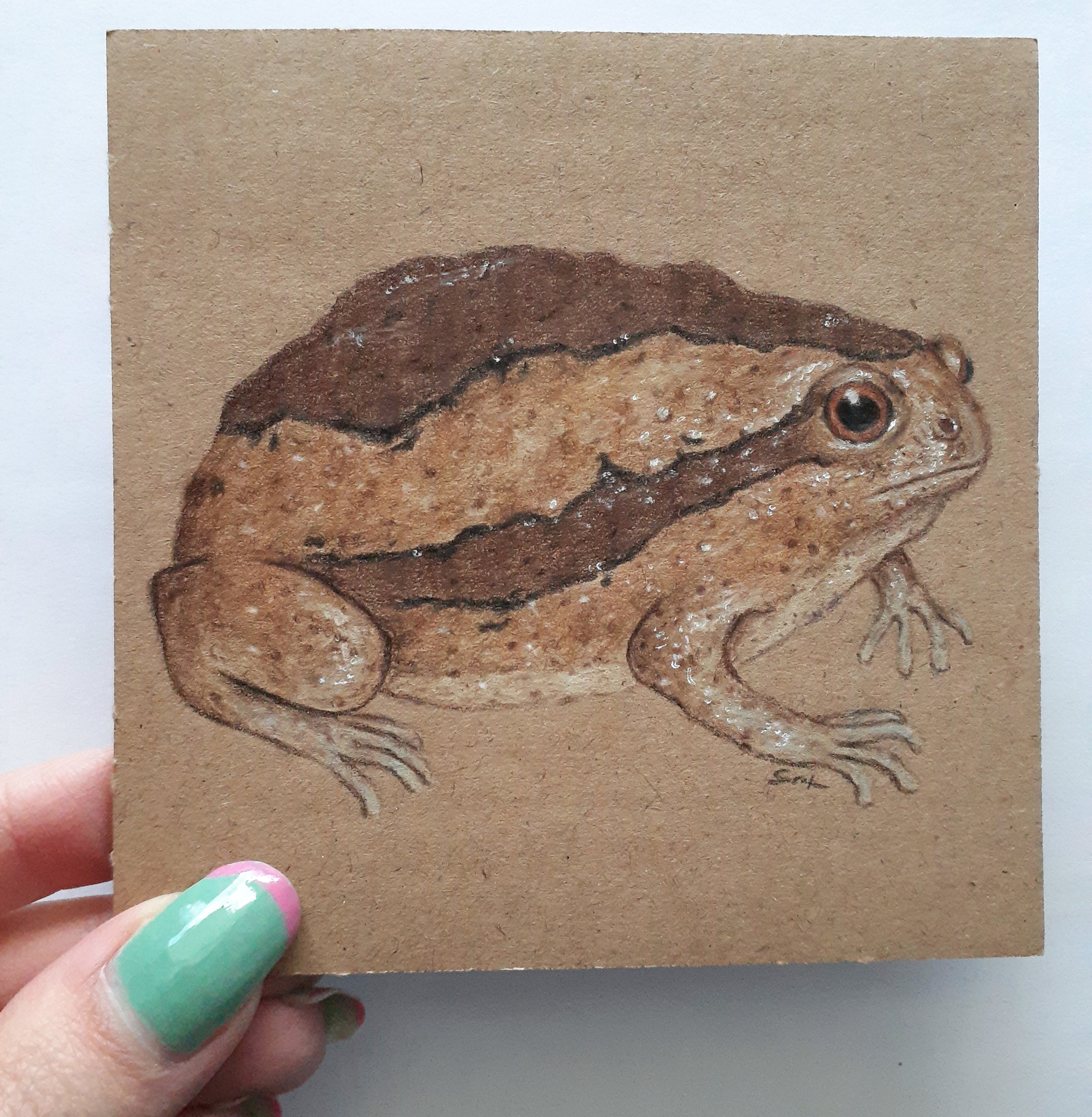 Bullfrog Drawing in Rustic Bronze Frame Framed Original Handmade Art - Etsy