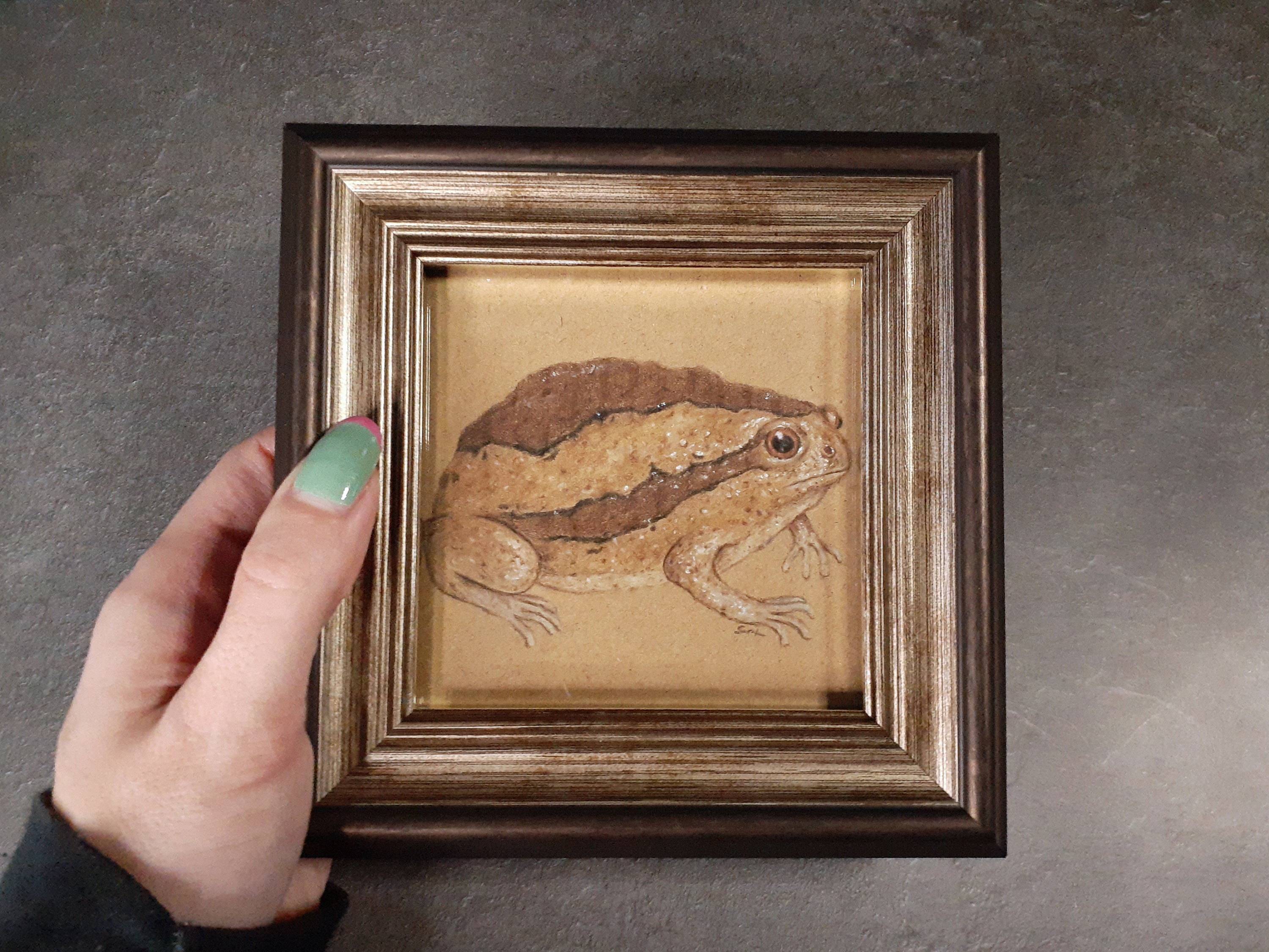 Bullfrog Drawing in Rustic Bronze Frame Framed Original Handmade Art - Etsy