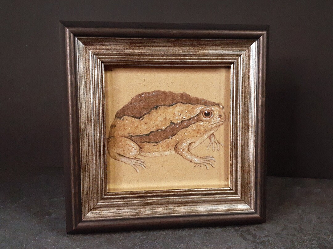 Bullfrog Drawing in Rustic Bronze Frame, Framed Original Handmade ...