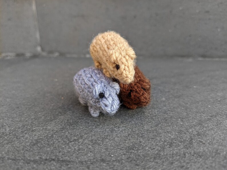 Tiny Guinea Pig Knitting Pattern PDF - Etsy