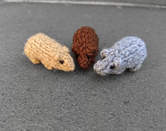 Guinea Pig knitting Pattern - Etsy