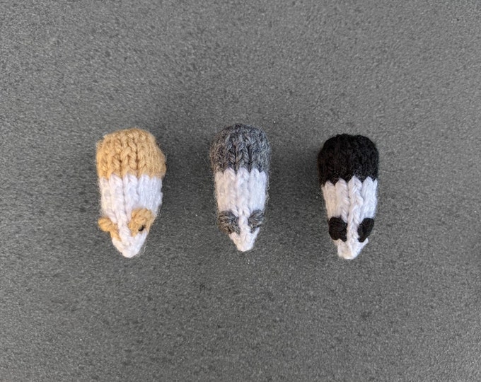 Guinea Pig (knitting Pattern) - Etsy Canada