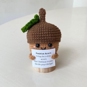 Handmade Positive Squirrel, Emotional Support Acorn Crochet, Funny Best ...