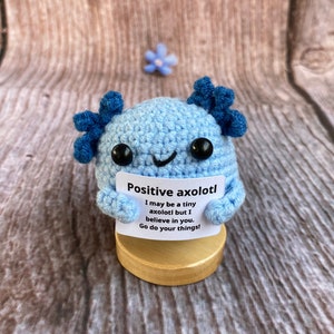 Funny Positive Axolotl, Knitted Baby Axolotl Toy With Positive Card ...