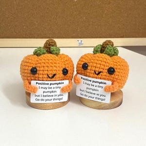 Crochet Supportive Pumpkin, Positive Pumpkin, Pumpkin Decoration ...