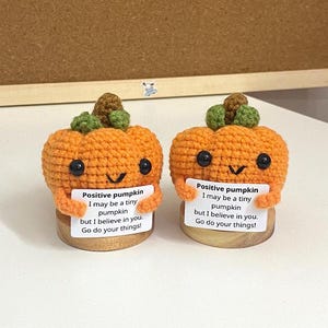 Crochet Supportive Pumpkin, Positive Pumpkin, Pumpkin Decoration ...