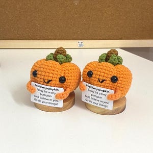 Crochet Supportive Pumpkin, Positive Pumpkin, Pumpkin Decoration ...