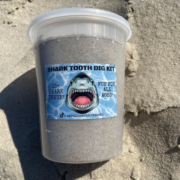 Shark Tooth Display - Etsy