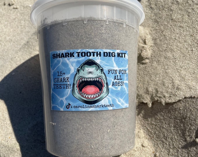 Shark Tooth Dig Kit - Etsy