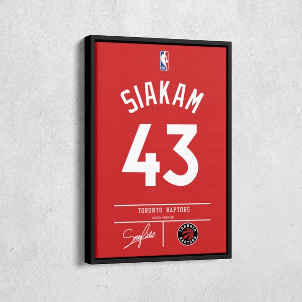 Toronto Raptors Jersey - Etsy