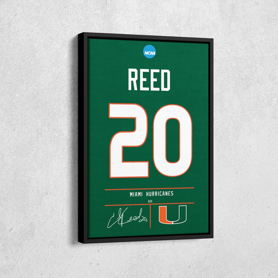 Ed Reed Jersey Art Miami Hurricanes NCAA Wall Art Home Decor Hand Made ...