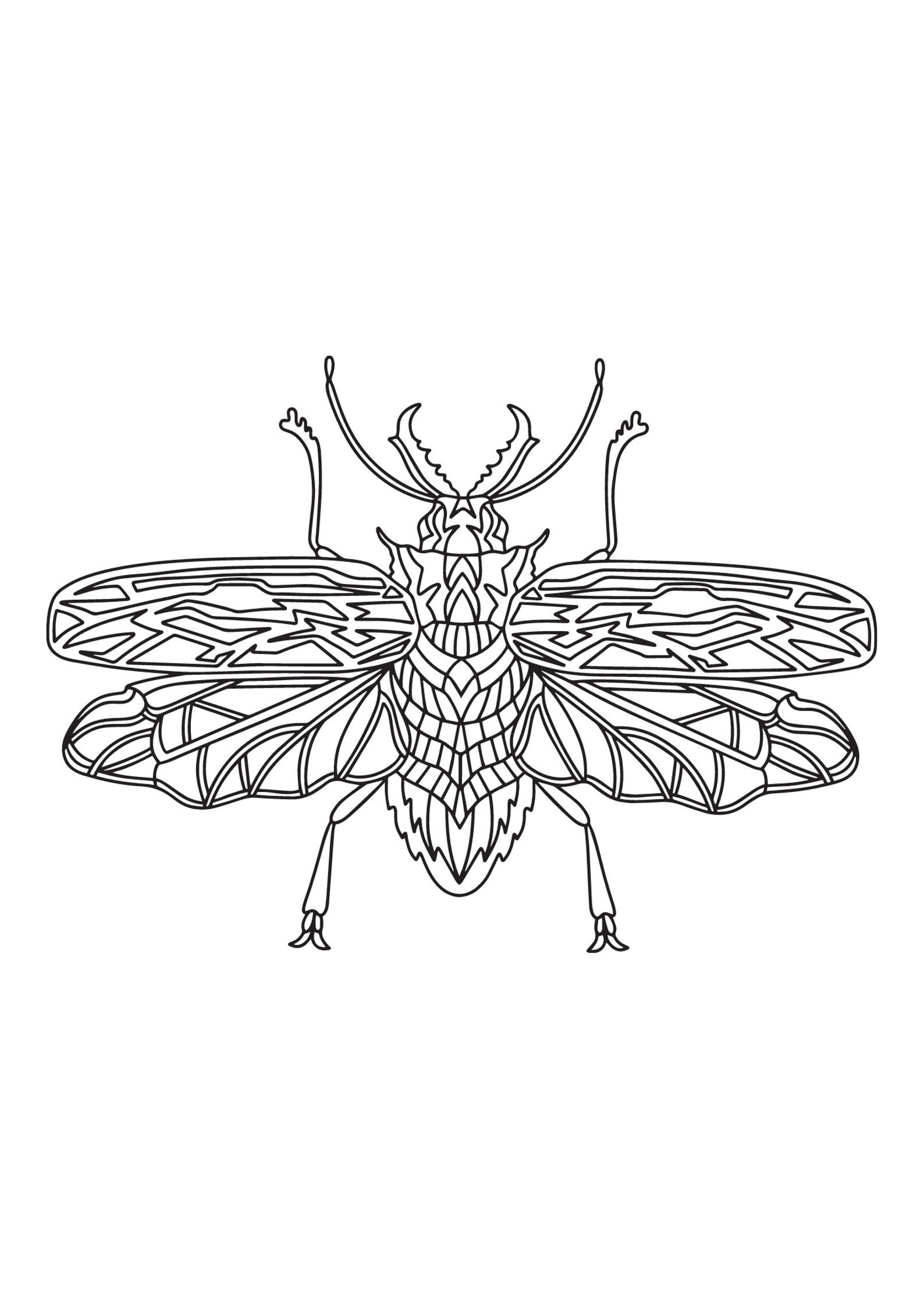 Printable Bug Colouring Pages X12 - Etsy