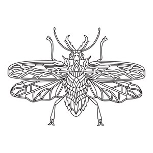 Printable Bug Colouring Pages X12 - Etsy