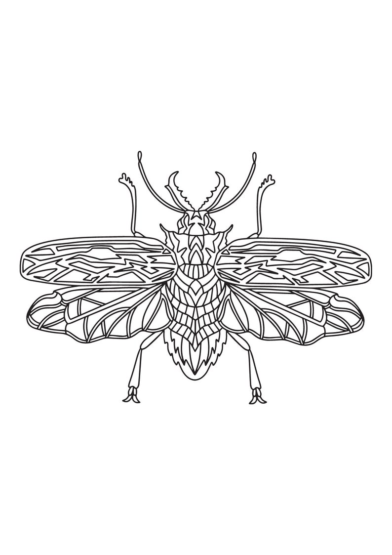Printable Bug Colouring Pages X12 - Etsy