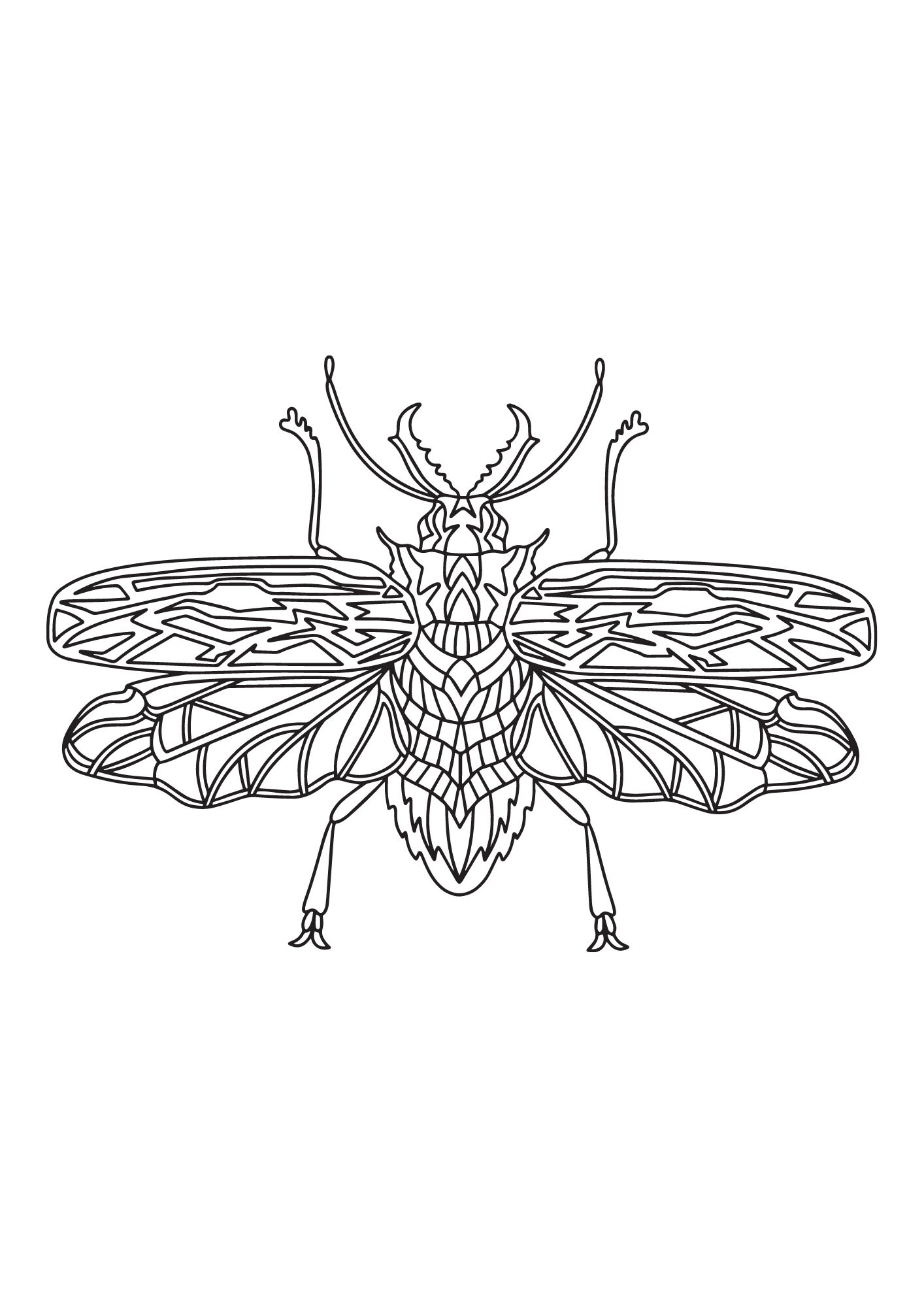 Printable Bug Colouring Pages X12 - Etsy
