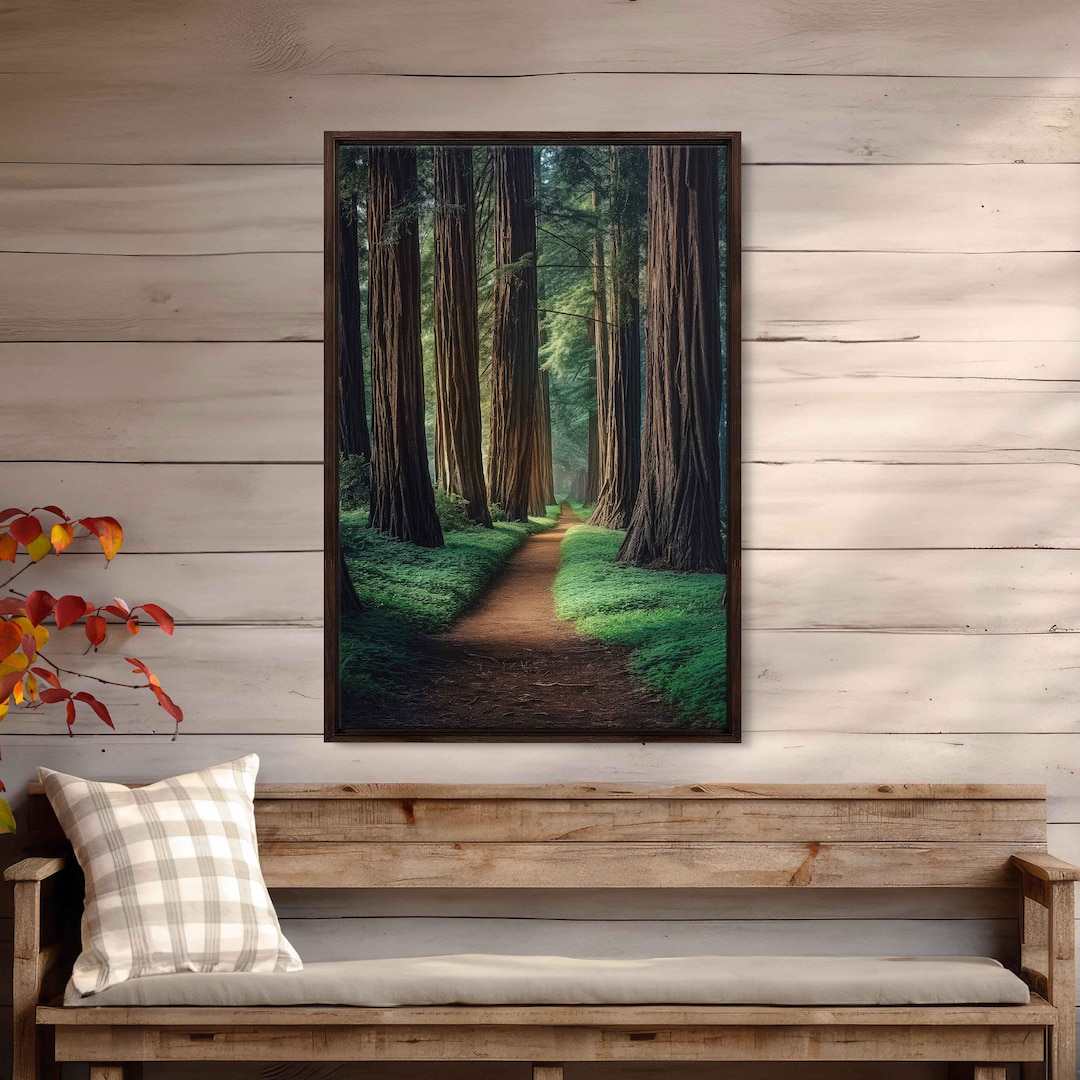 Redwood Forest Path Wall Art Canvas Print, Gift for Nature Lover ...
