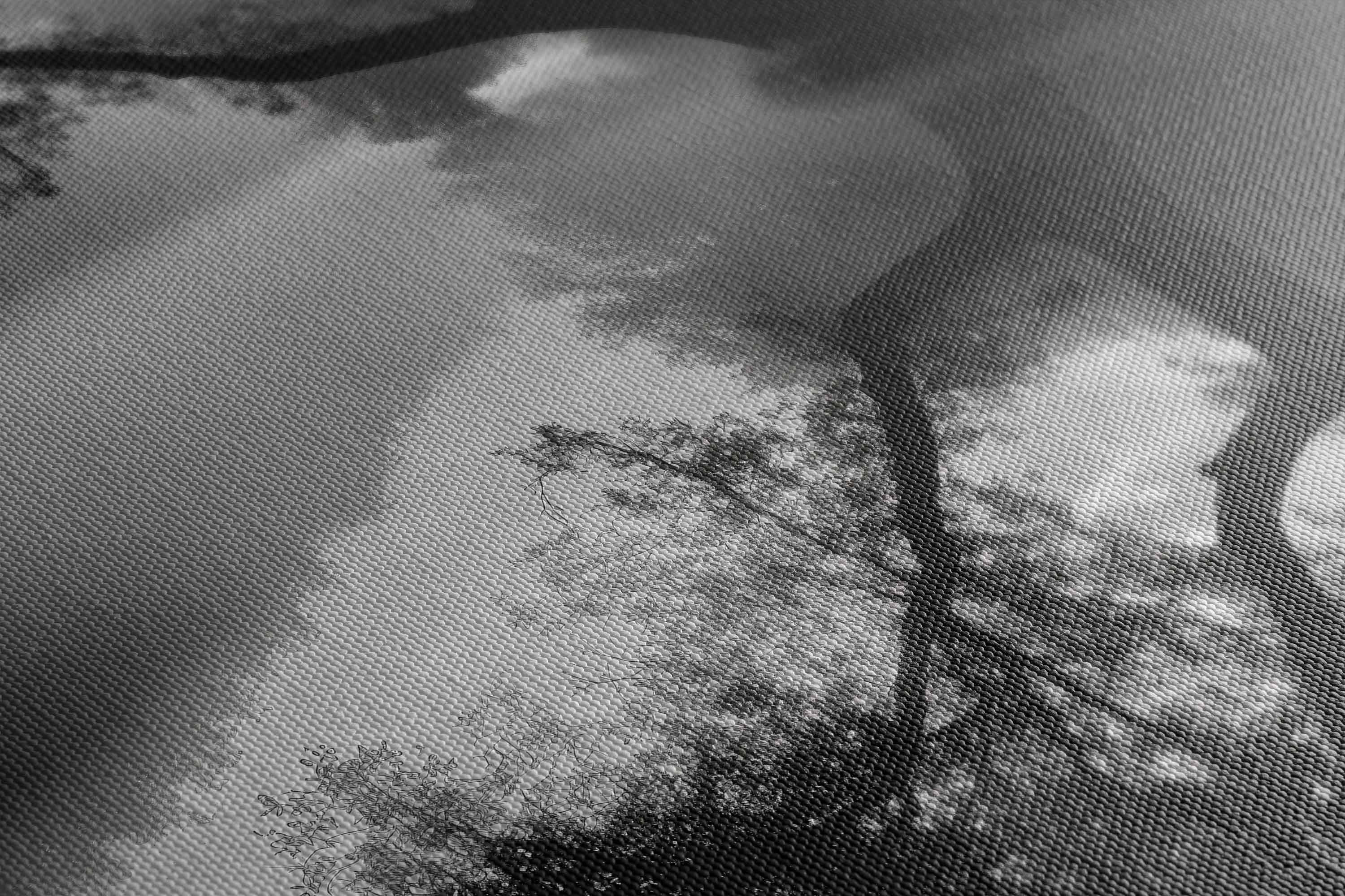 Tree Overhanging Lake Edge With Sun Shining Through Branches Wall Art ...