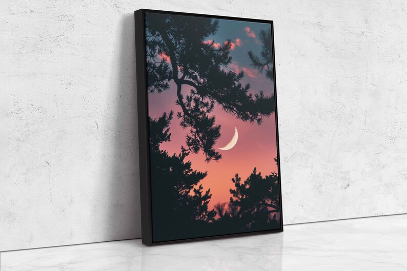 Crescent Moon Shown Through Tree Branches Wall Art Canvas Print ...