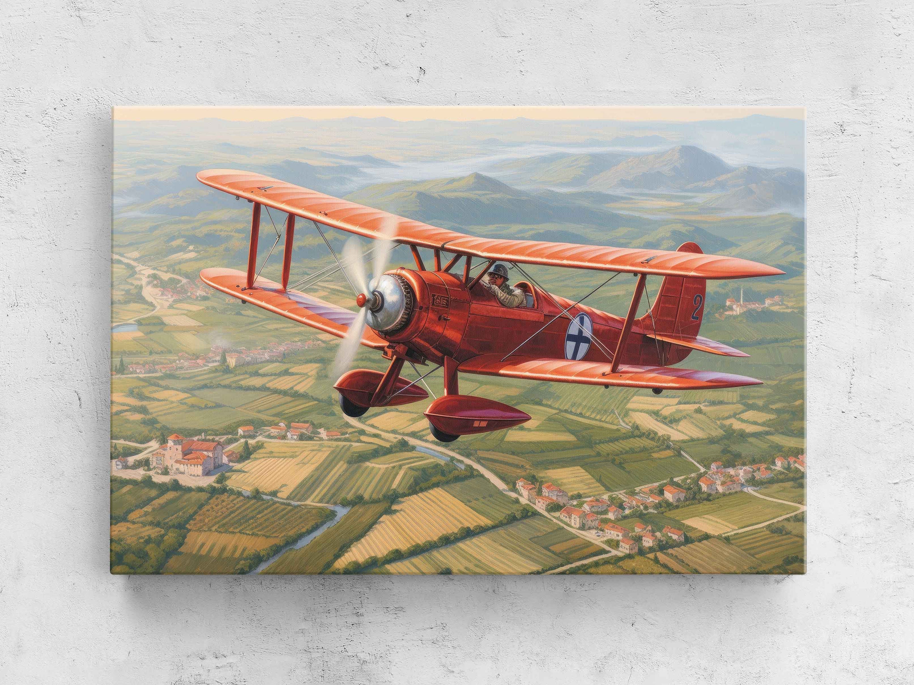 Biplane Painting