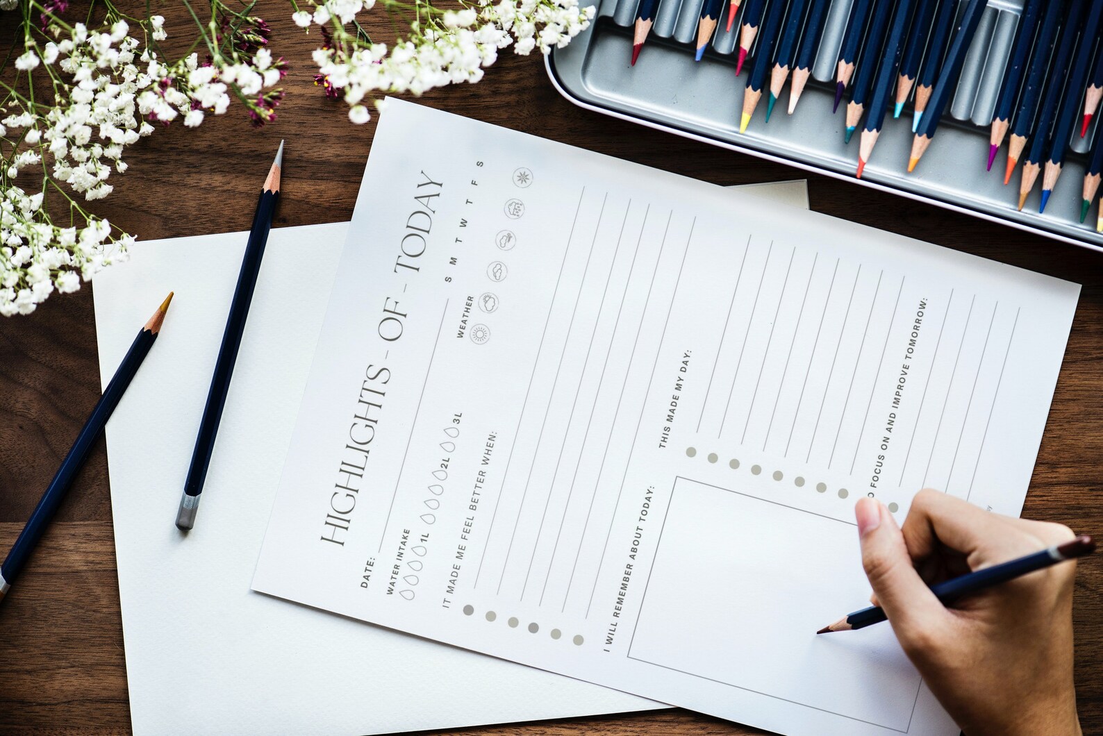 Printable Self Help Download Bundle Insert Weekly - Daily - Hourly ...