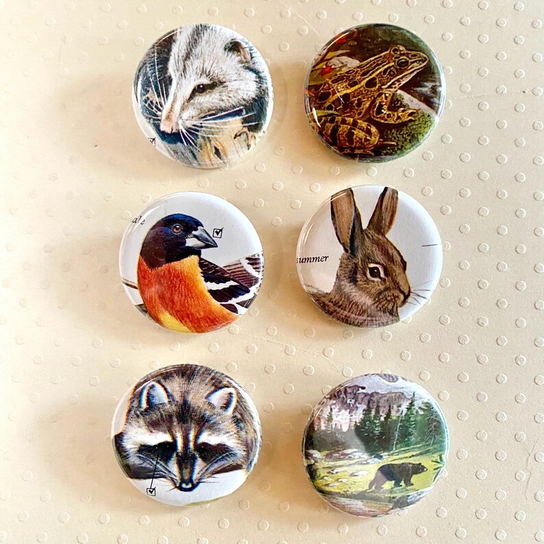 Set of 6 Upcycled Pin Back Buttons Animals Recycled Vintage Field Guide ...