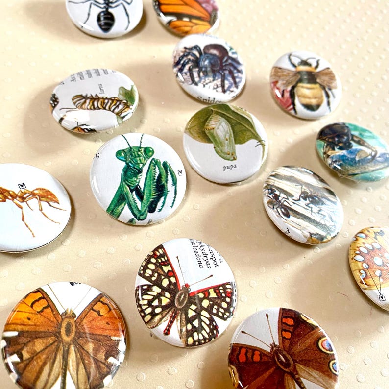 Set of 6 Random Upcycled Pin Back Buttons Insects Bugs Recycled Vintage ...