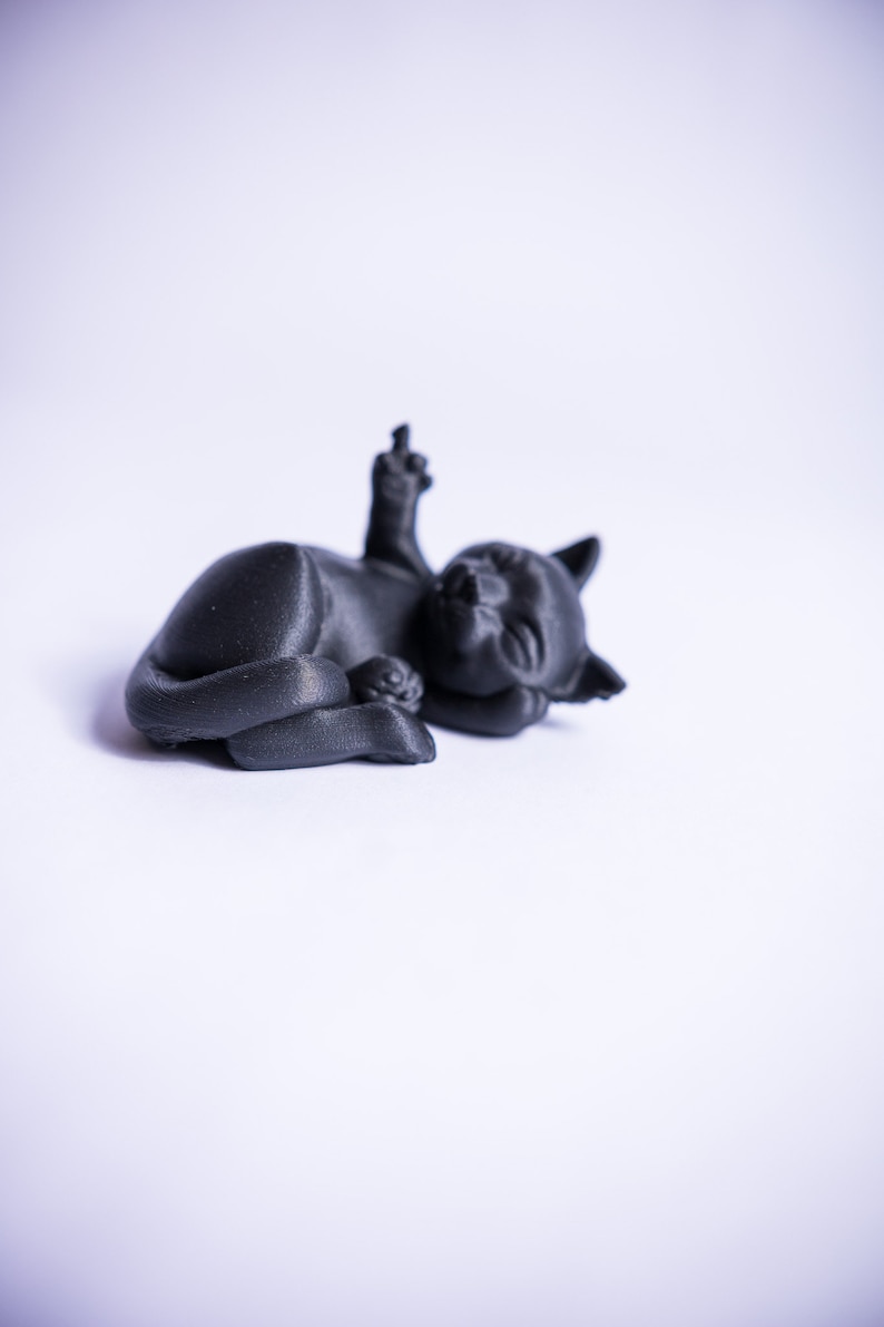 3D Printed Lazy Cat Giving the Finger - Funny Desk Decor - Etsy