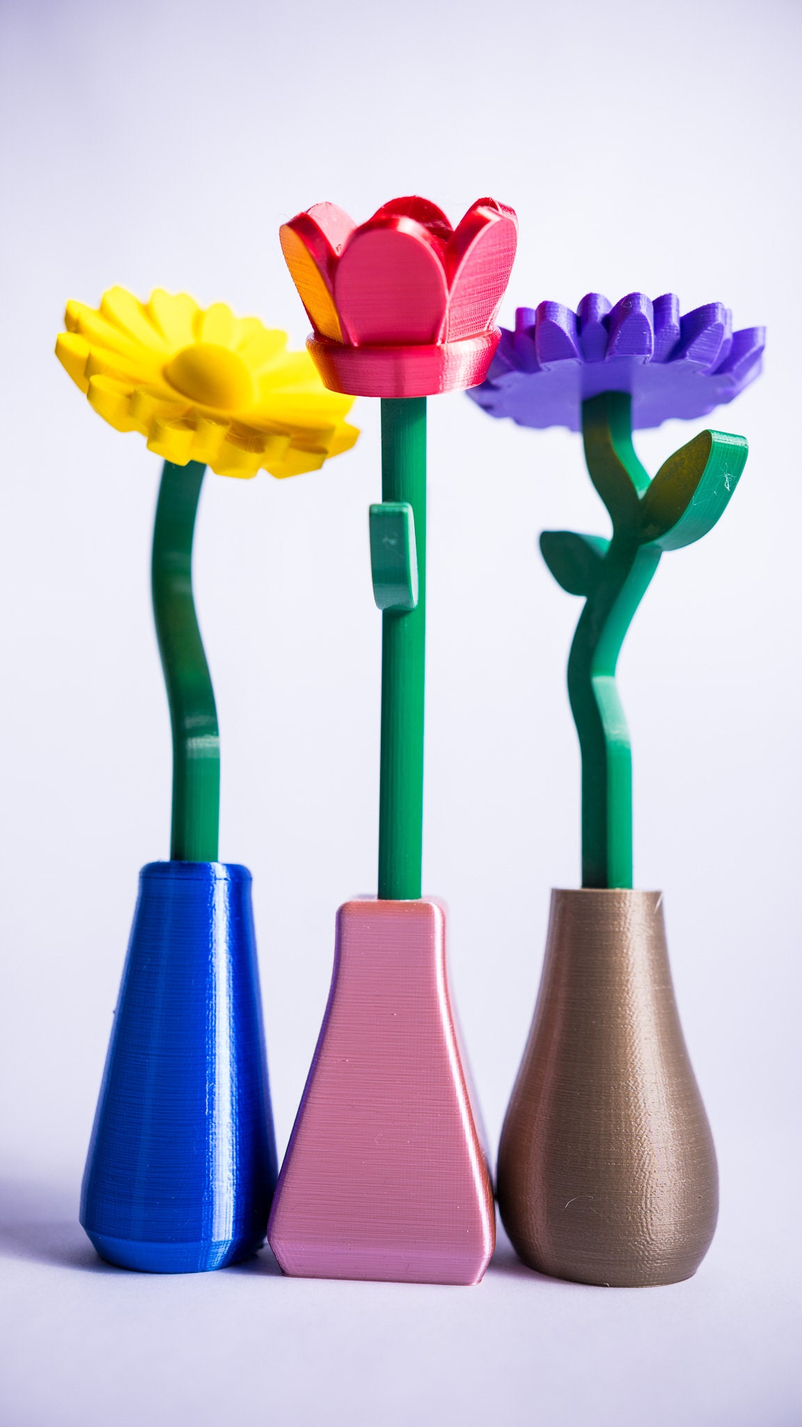 3d-printed Flower Arrangement Set: Custom Color Vases - Etsy Canada