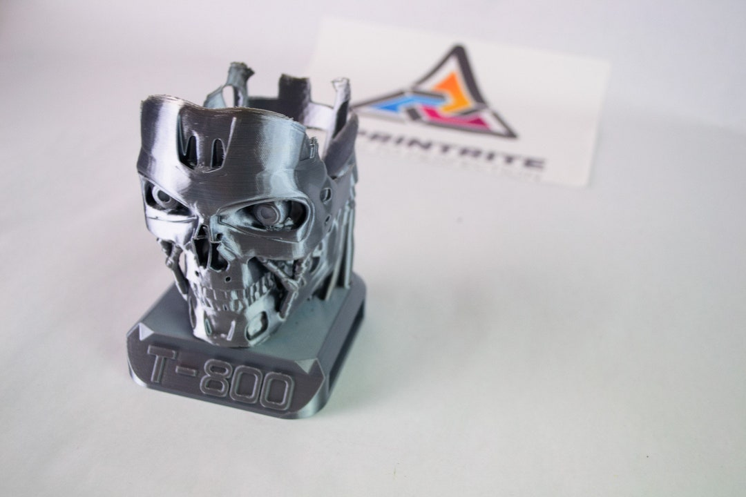 3D Printed Terminator T-100 Fan Art Head Figurine to Hold an Alexa 4 ...