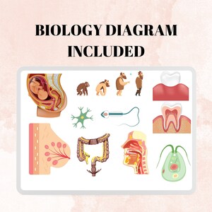 Biology & Anatomy Digital Stickers Hand-drawn iPad Goodnotes, PNG File ...