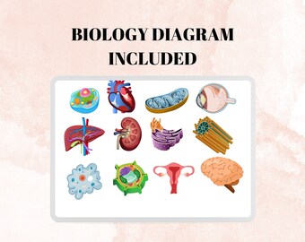 Biology & Anatomy Digital Stickers Hand-drawn iPad Goodnotes, PNG File ...