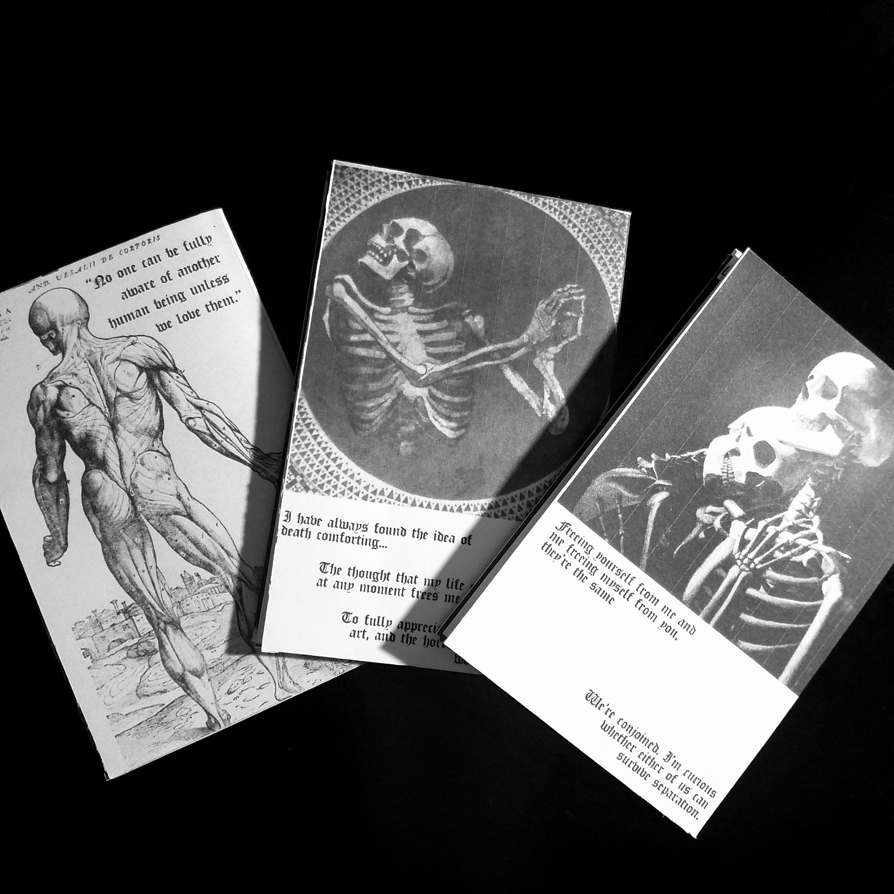 Conjoined Hannibal Art History Comparison Mini Zine Horror Fanzine ...