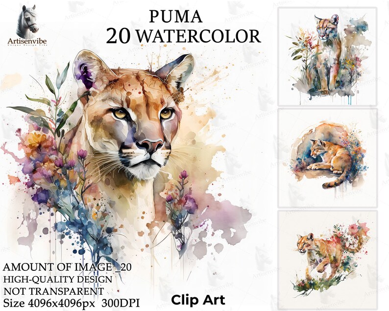 Pumas Animal Watercolor Clipart Nursery Art Paper Craft 20 - Etsy