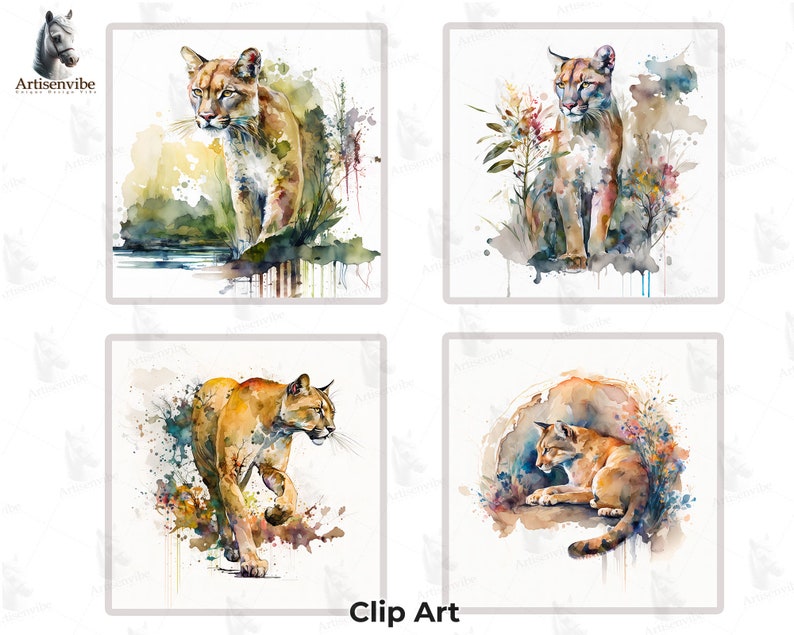 Pumas Animal Watercolor Clipart Nursery Art Paper Craft 20 - Etsy