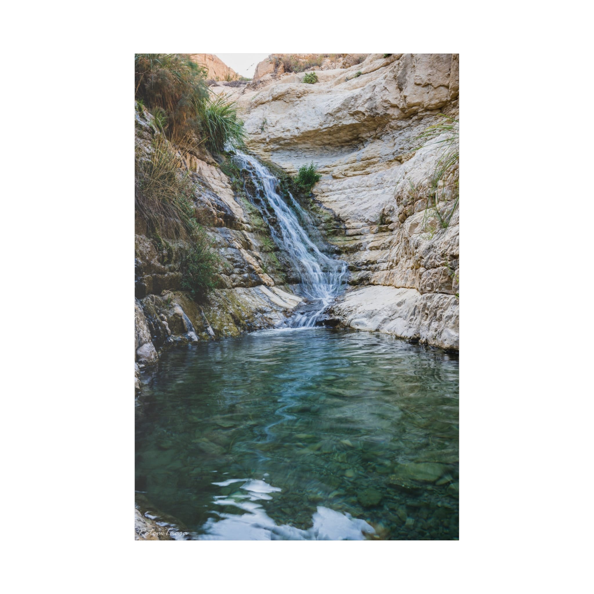 Hidden Oasis: Waterfall in En Gedi Nature Reserve, Israel - Photography on Matte Canvas - Etsy