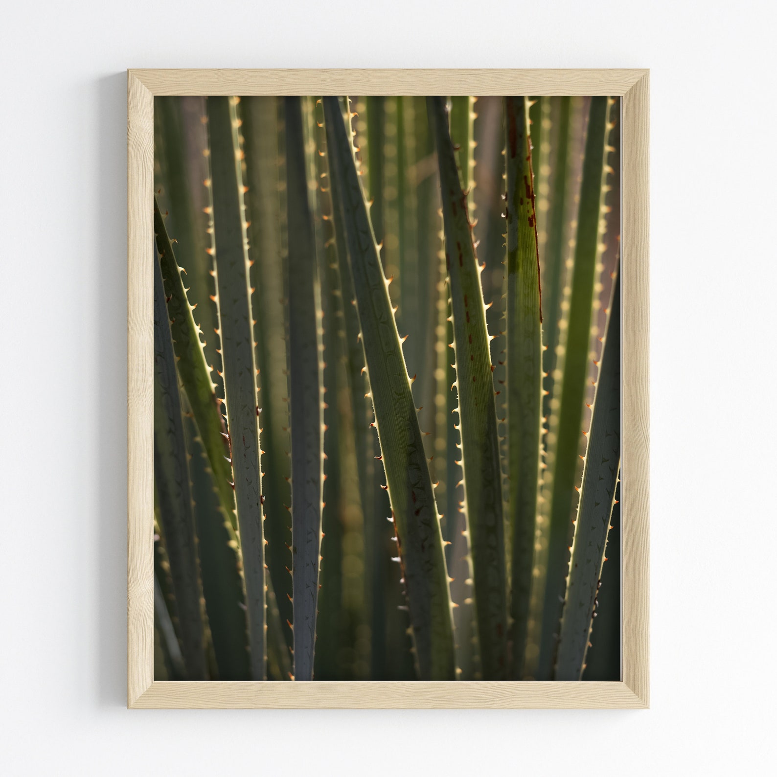 Set of 3 Desert Prints, Printable Wall Art, Desert Photography, Digital ...