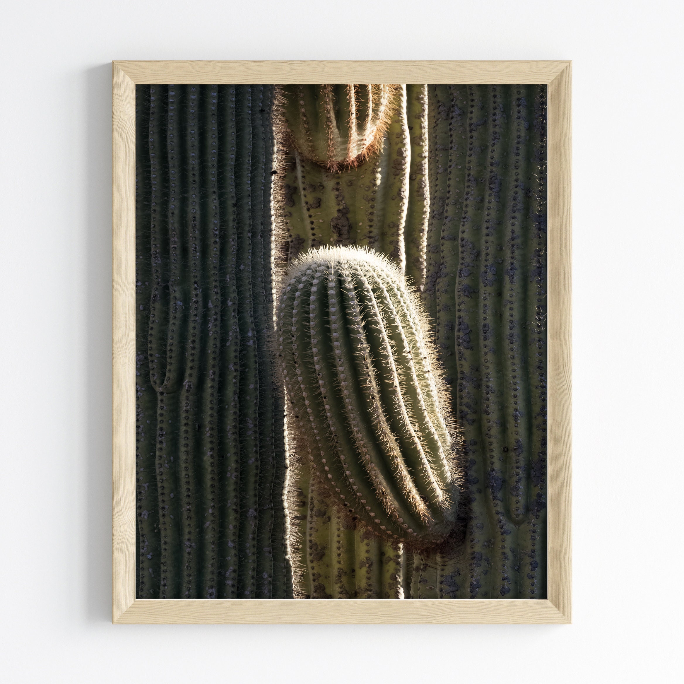 Set of 3 Desert Prints, Printable Wall Art, Desert Photography, Digital ...