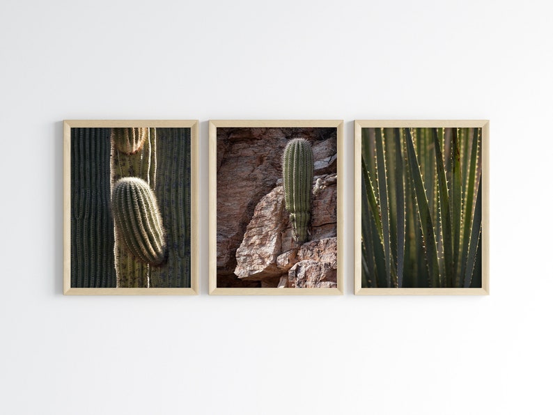 Set of 3 Desert Prints, Printable Wall Art, Desert Photography, Digital ...