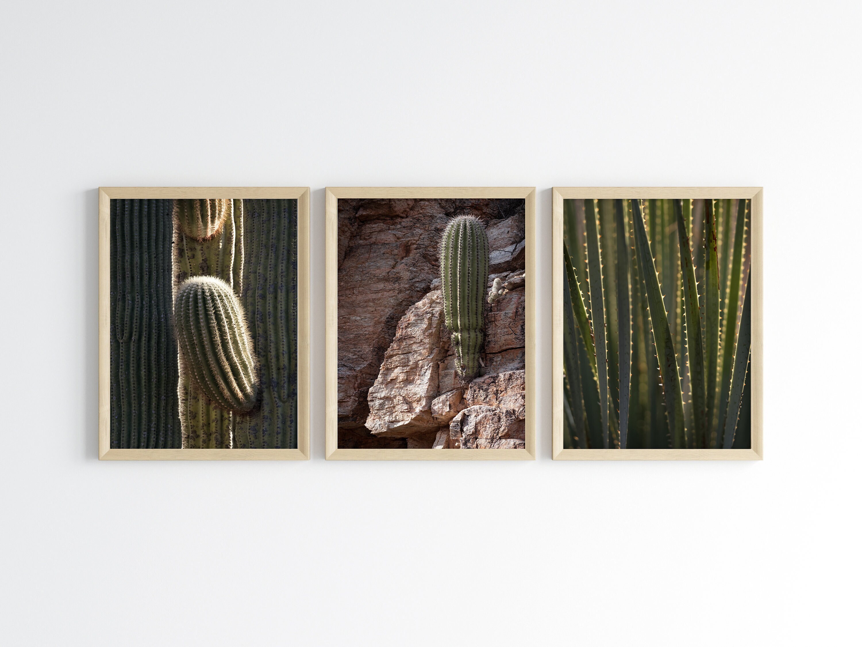 Set of 3 Desert Prints, Printable Wall Art, Desert Photography, Digital ...