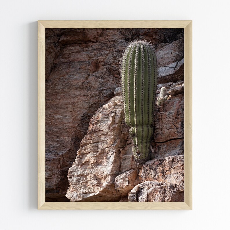 Set of 3 Desert Prints, Printable Wall Art, Desert Photography, Digital ...